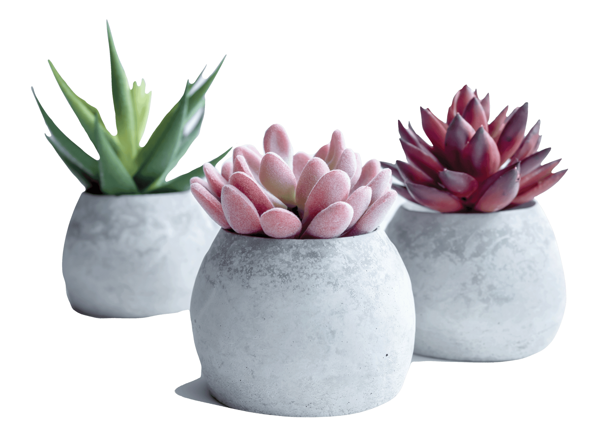 Join the International Housewares Association Today!